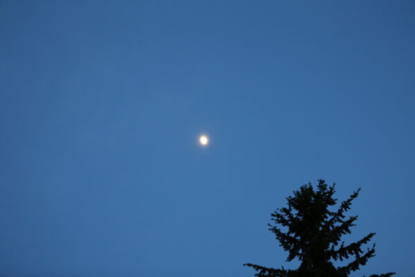 roxiejanehunt | The Lunar Method: Growing your Hair with the Moon.